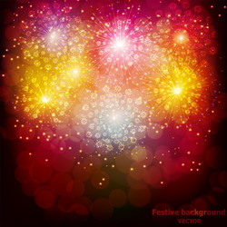 Bright fireworks background Royalty Free Vector Image