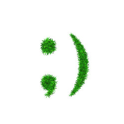 Green grass field 3d face wink smile Royalty Free Vector