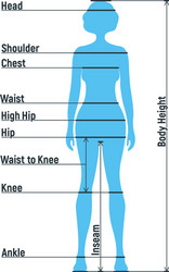 Female size chart anatomy human character people Vector Image