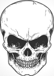 Skull drawing line work Royalty Free Vector Image