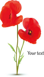 Poppies Vector Images (over 18,000)