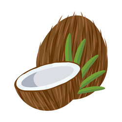 Coconut detailed icon Royalty Free Vector Image