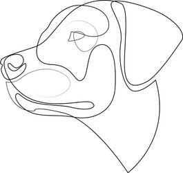 Human skull one continuous line graphic ill Vector Image