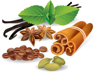 Spices Vector Images (over 110,000)