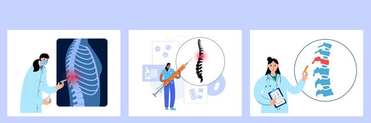 Spine Royalty Free Vector Image - VectorStock