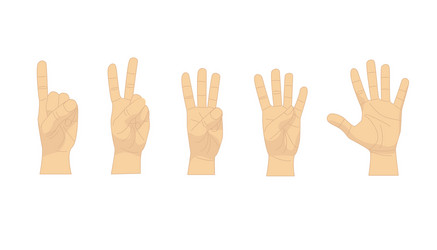 Counting showing various finger combinations Vector Image