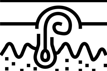 Pubic hair Vector Images & Graphics for Commercial Use | VectorStock