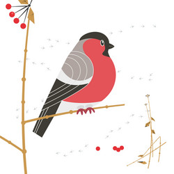 Nature bird Royalty Free Vector Image - VectorStock