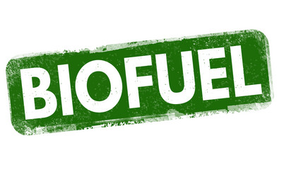 Biofuel canister with biodiesel from biomass corn Vector Image