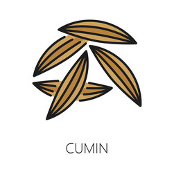 Cumin Vector Images (over 1,400)