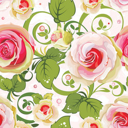 Seamless pattern of roses eps 10 Royalty Free Vector Image