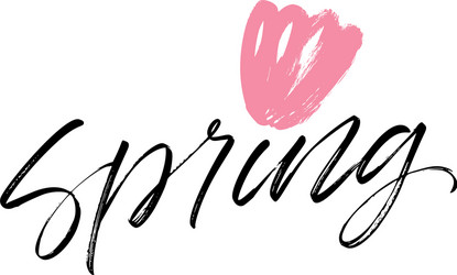 Spring word handwritten with elegant cursive Vector Image