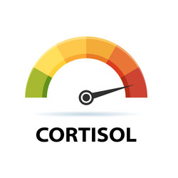 Good immunity level meter speedometer indicator Vector Image