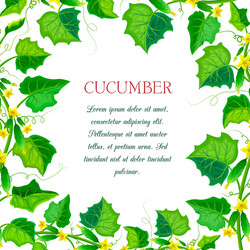 Cucumber Label Vector Images (over 1,500)