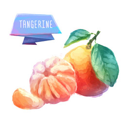 Tangerine Vector Images (over 13,000)
