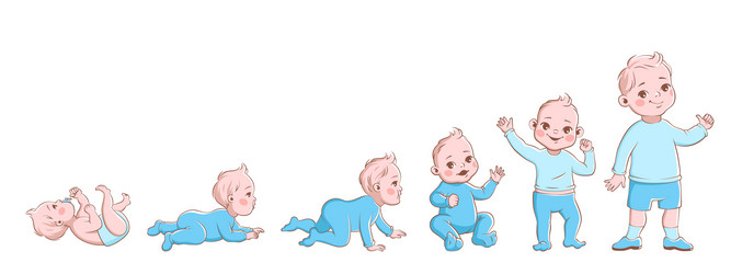 Baby growth process male toddler development step Vector Image