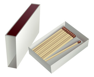 Opened matchbox sulphur and wooden sticks lying Vector Image