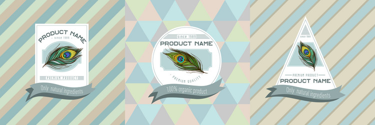 K letter decorated with exotic peacock feather Vector Image