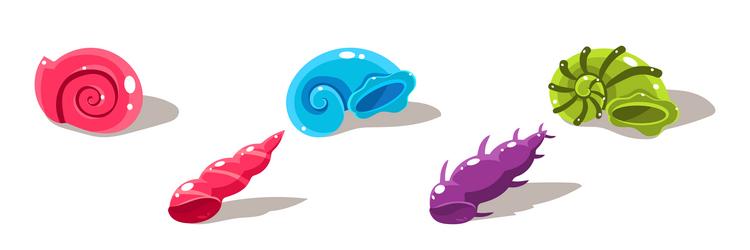 Colorful shells and conch sea element set Vector Image