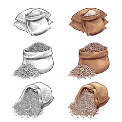 3d rice bag sack with grain sereals flour Vector Image