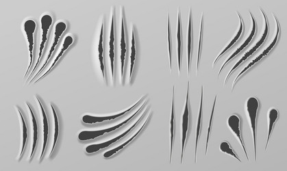 Claw Rip Vector Images (over 990)