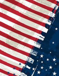American background design Royalty Free Vector Image