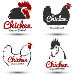 Chicken meat parts with names cuisine poster Vector Image