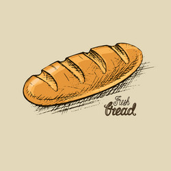 Sliced fresh wheat bread Royalty Free Vector Image