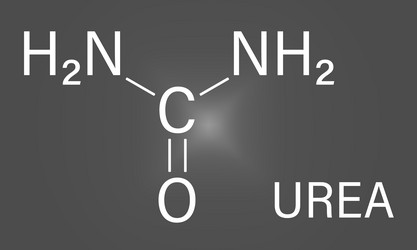 Urea or carbamide molecule skeletal formula Vector Image