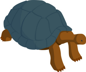 Turtle Isometric Vector Images (over 300)