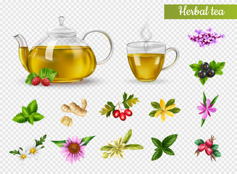 Tea Vector Images (over 230,000)