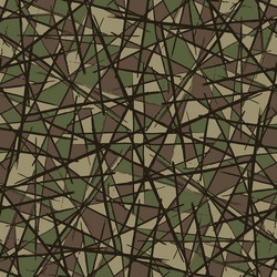 Seamless camouflage pattern with lines Royalty Free Vector