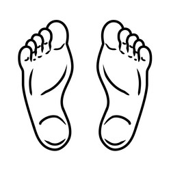 Human foot anatomy line art showing different Vector Image