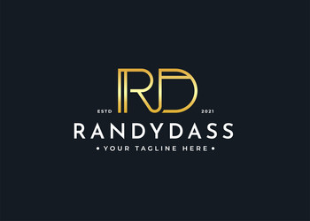 Letter d r logo design for personal brand Vector Image