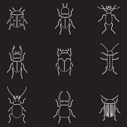 Bugs Outline Vector Images (over 25,000)