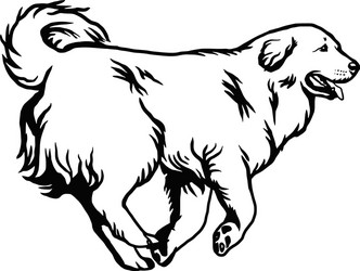 Great Pyrenees Dog Vector Images (57)