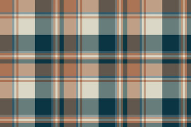 Check classic dark plaid fabric texture seamless Vector Image