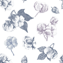 Hand drawn set of cotton Royalty Free Vector Image