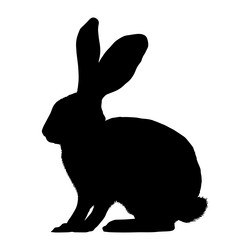 Standing Bunny Silhouette