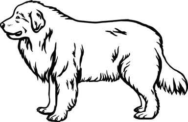 Great Pyrenees Dog Vector Images (57)