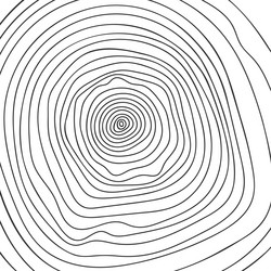 Trunk cross section texture sketch of topographic Vector Image