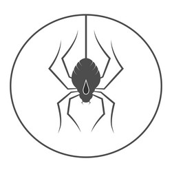 Spider Web Logo Vector Images (over 4,800)