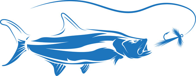 Tarpon Fish Vector Images (65)