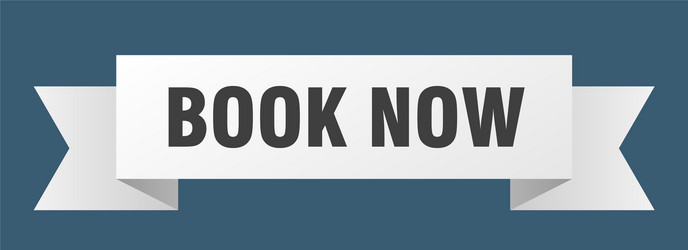 Book Now Flyer Vector Images (over 150)