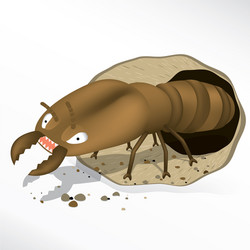 Termite Vector Images (over 2,300)