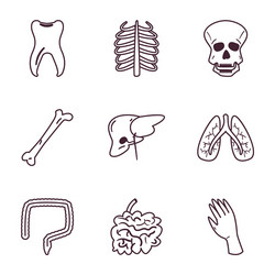 Human body line style set icons design Royalty Free Vector