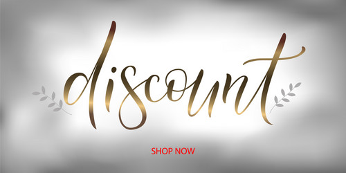 Calligraphy typography text phrese discount Vector Image