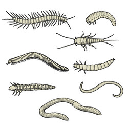 Insects Vector Images (over 240,000)