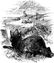 Wolf Hunting Vector Images (over 6,100)