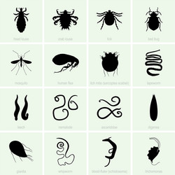 Parasites Vector Images (over 20,000)